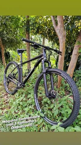 "trailer 5 rodas" no Brasil