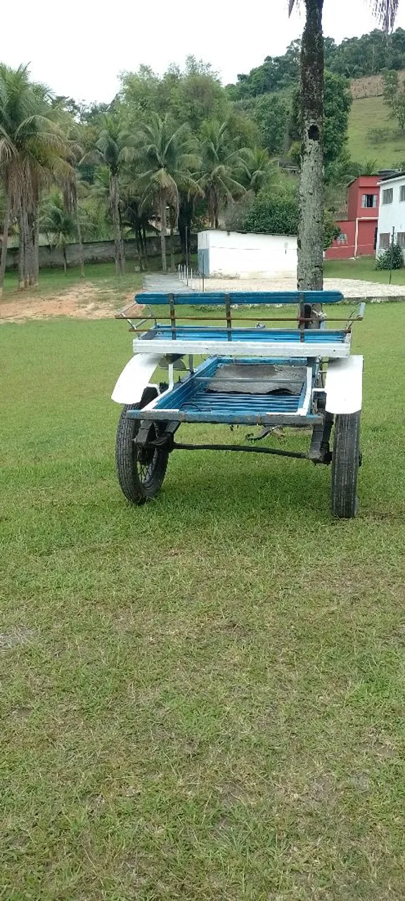 "charetes" no Brasil