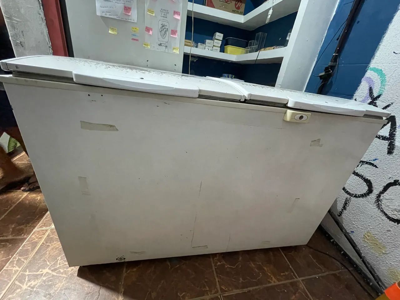 Freezer Horizontal Electrolux Cycle Defrost 385L Duas Portas (H400 ...