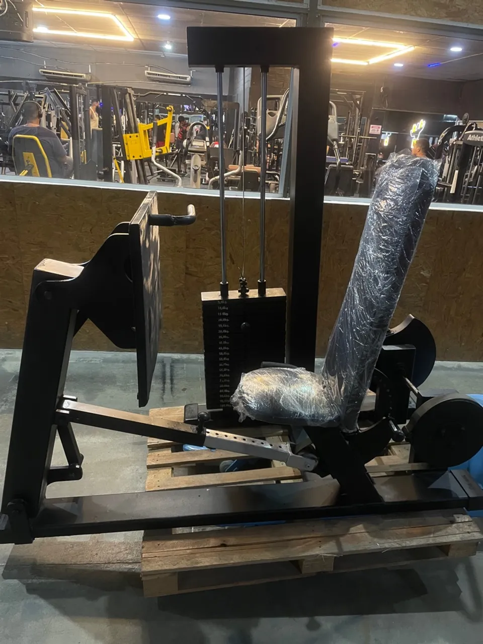 "leg horizontal" - Academia e Exercícios no Brasil