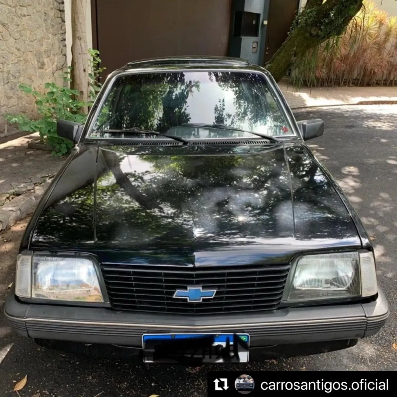 Chevrolet Monza Usados e Novos em São Paulo e região, SP