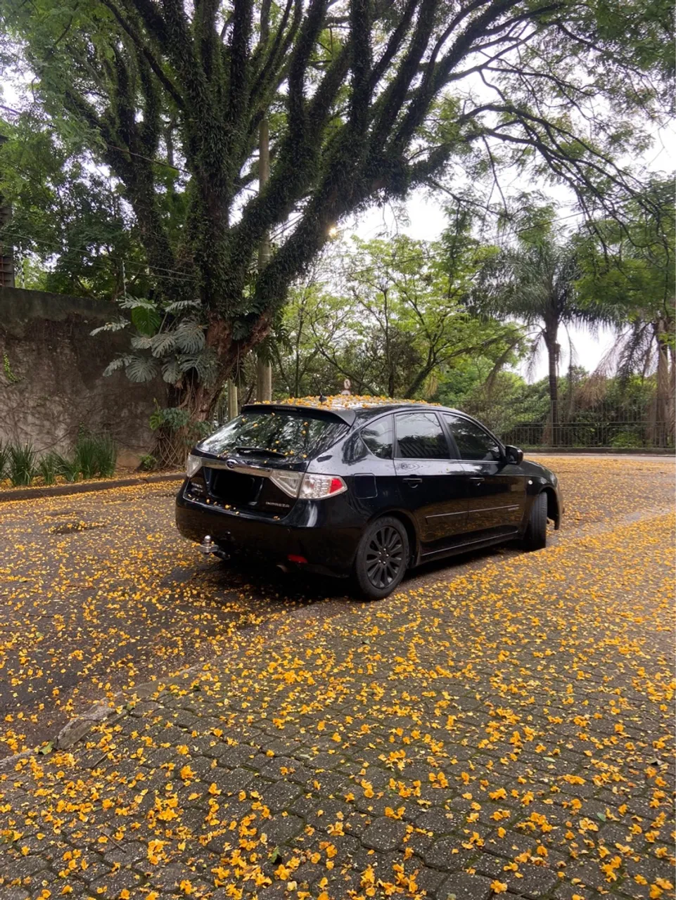 SUBARU IMPREZA 2010 Usados e Novos