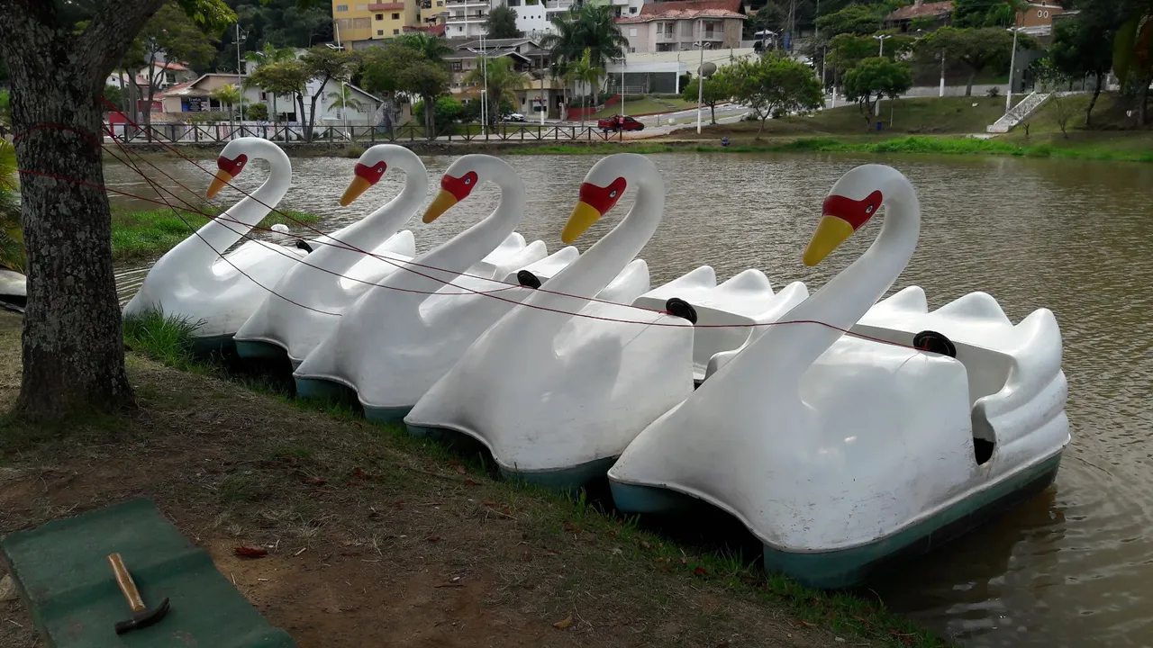 "pedalinho" no Brasil