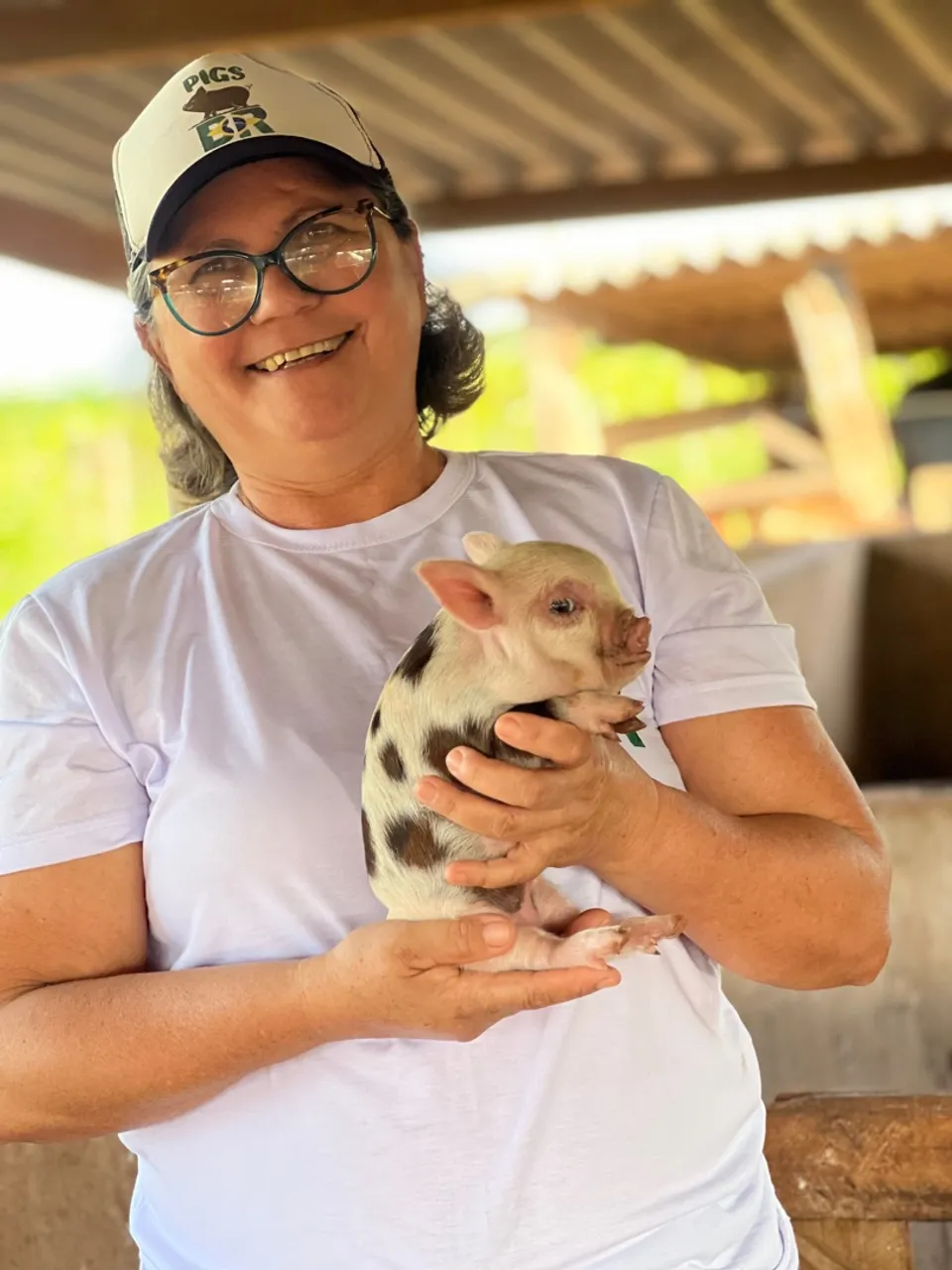 "filhotes de porcos" - Outros animais no Brasil