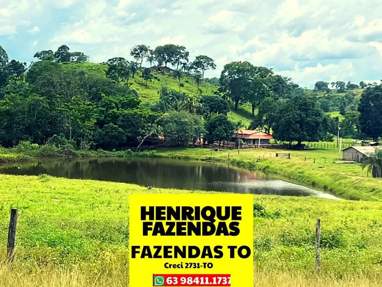 Imóvel pra pecuária 60 alqueires 50 de pastos cultura de terra preta no ...