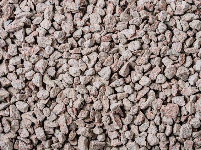 "gravilhao" no Brasil