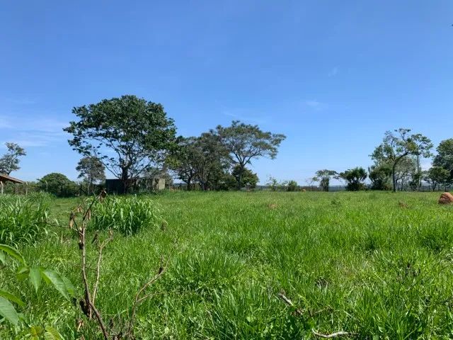 "terrenos de 5000 metros quadrados" no Brasil