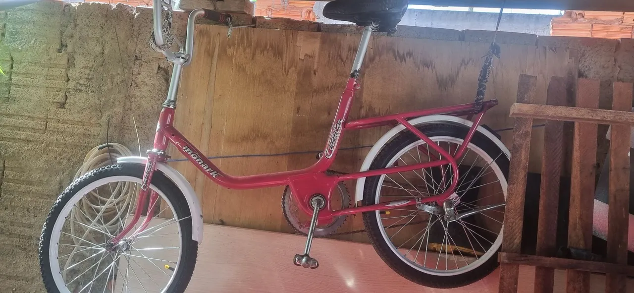 "bicicletas monaretas" - Ciclismo no Brasil
