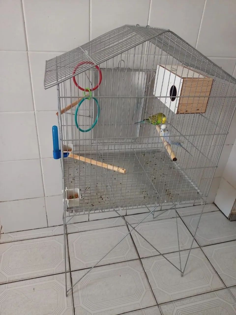 Viveiro para Calopsita - Acessórios para pets - Rocas, Natal 1469473473 ...