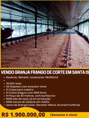 "granja de frango" no Brasil