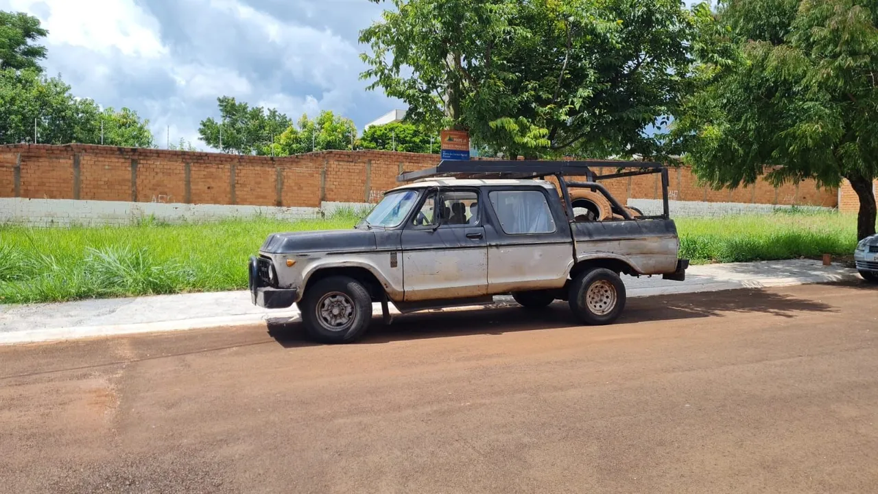 CHEVROLET D-10 Usados e Novos