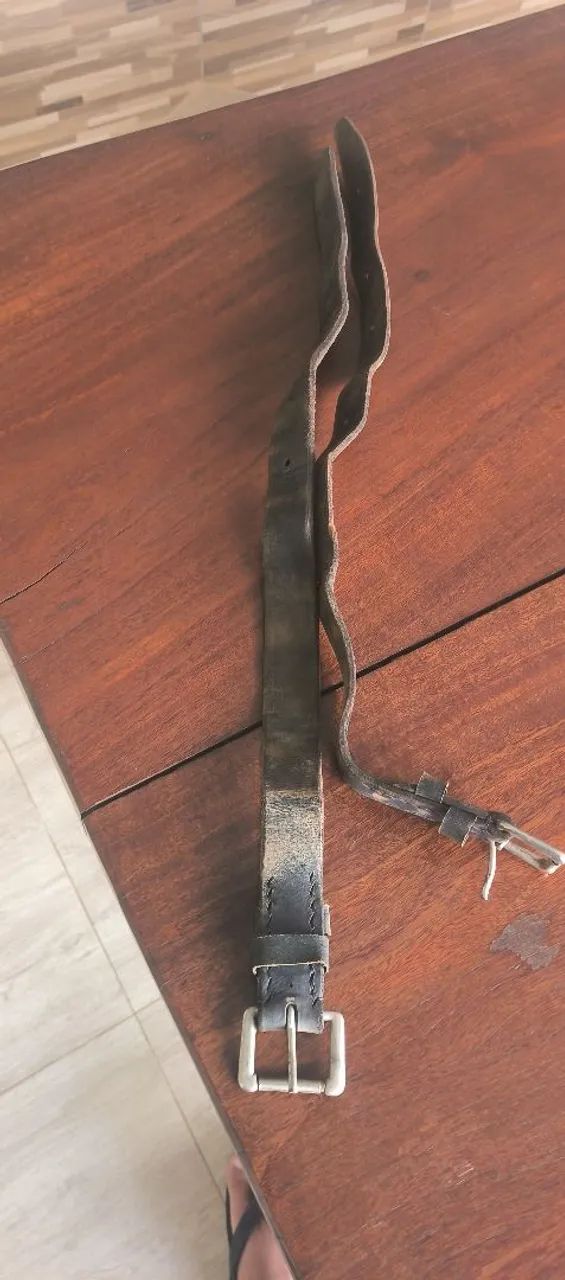 Sela de Couro Completa + Barrigueira e Rédea (Brinde) - Animais para ...