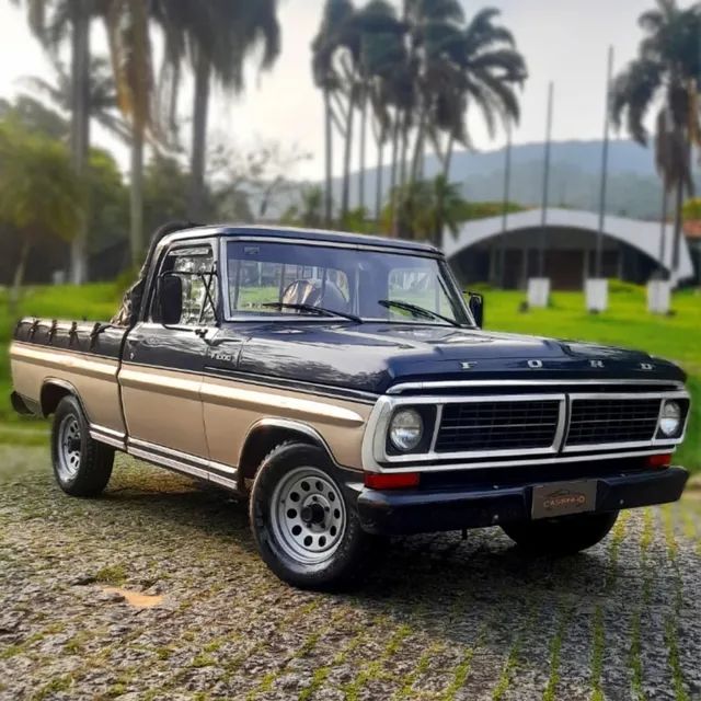 FORD F-1000 Usados e Novos