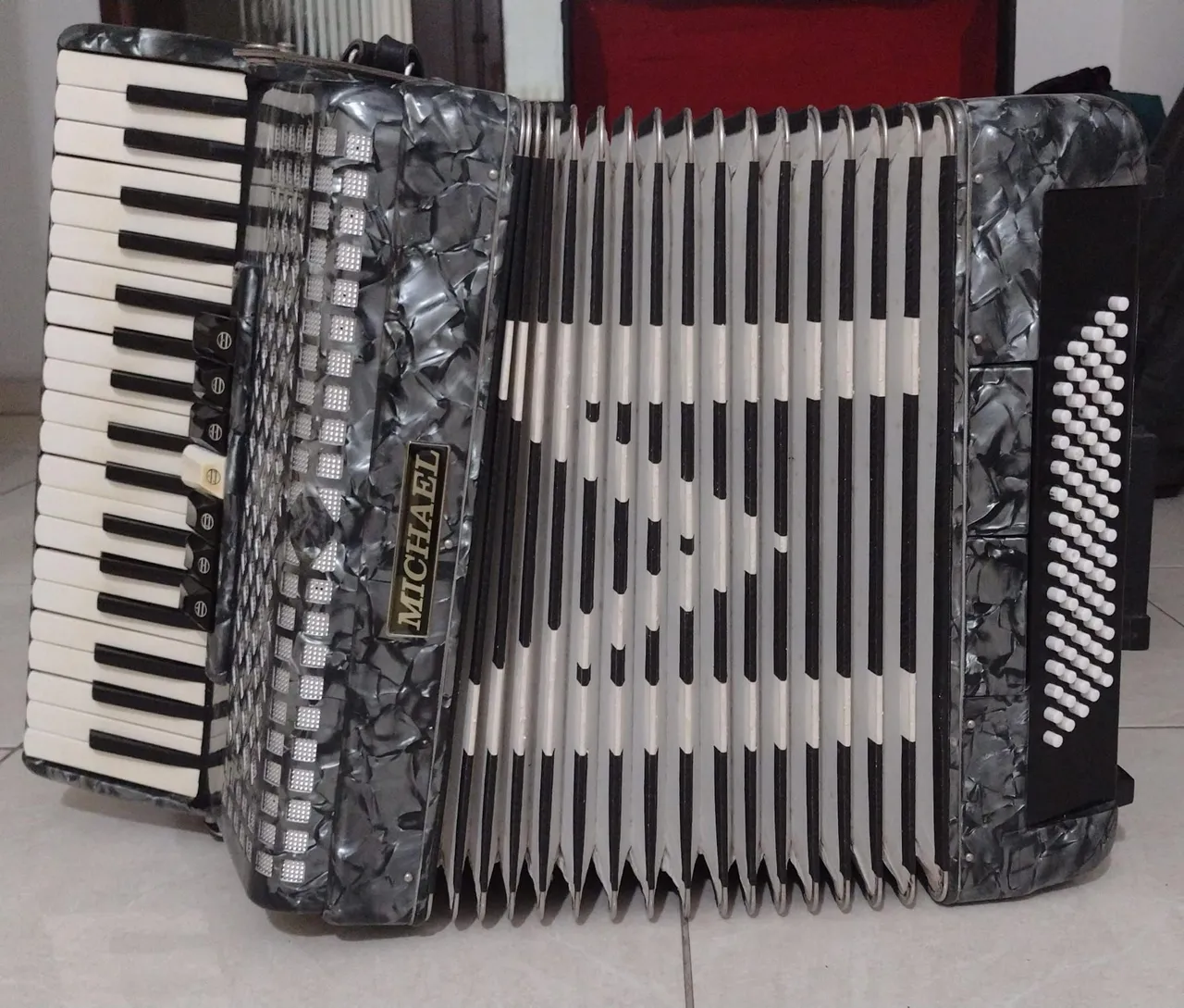 "sanfona ou acordeon" - Instrumentos musicais no Brasil