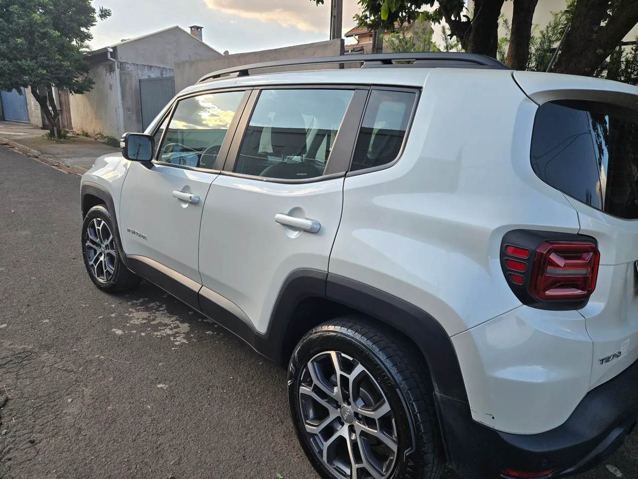 "renagate" no Brasil