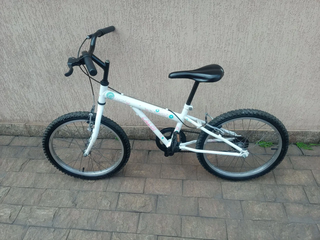 "bike ceci aro 20" - Ciclismo no Brasil