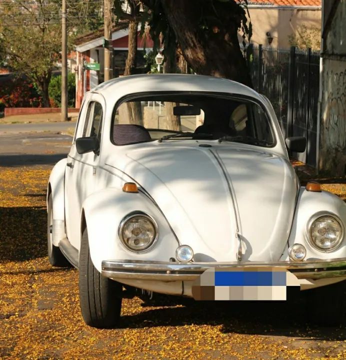 VOLKSWAGEN FUSCA 1978 Usados e Novos