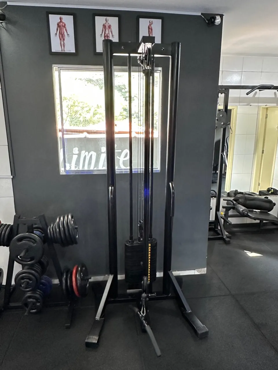 "polia academia" - Academia e Exercícios no Brasil