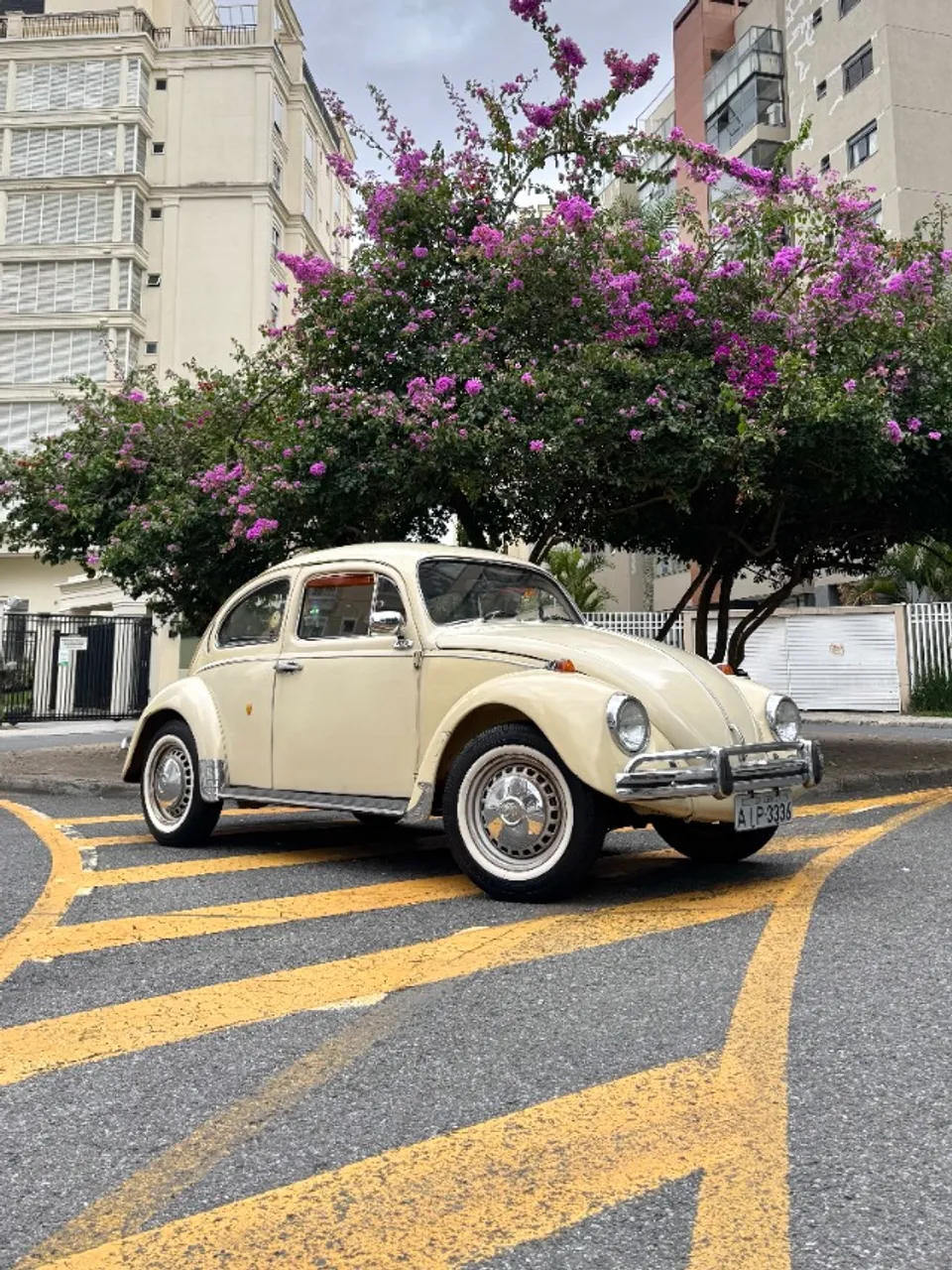 VOLKSWAGEN FUSCA 1976 Usados e Novos