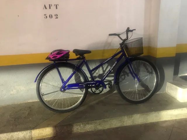 "bicicletas simples" no Brasil