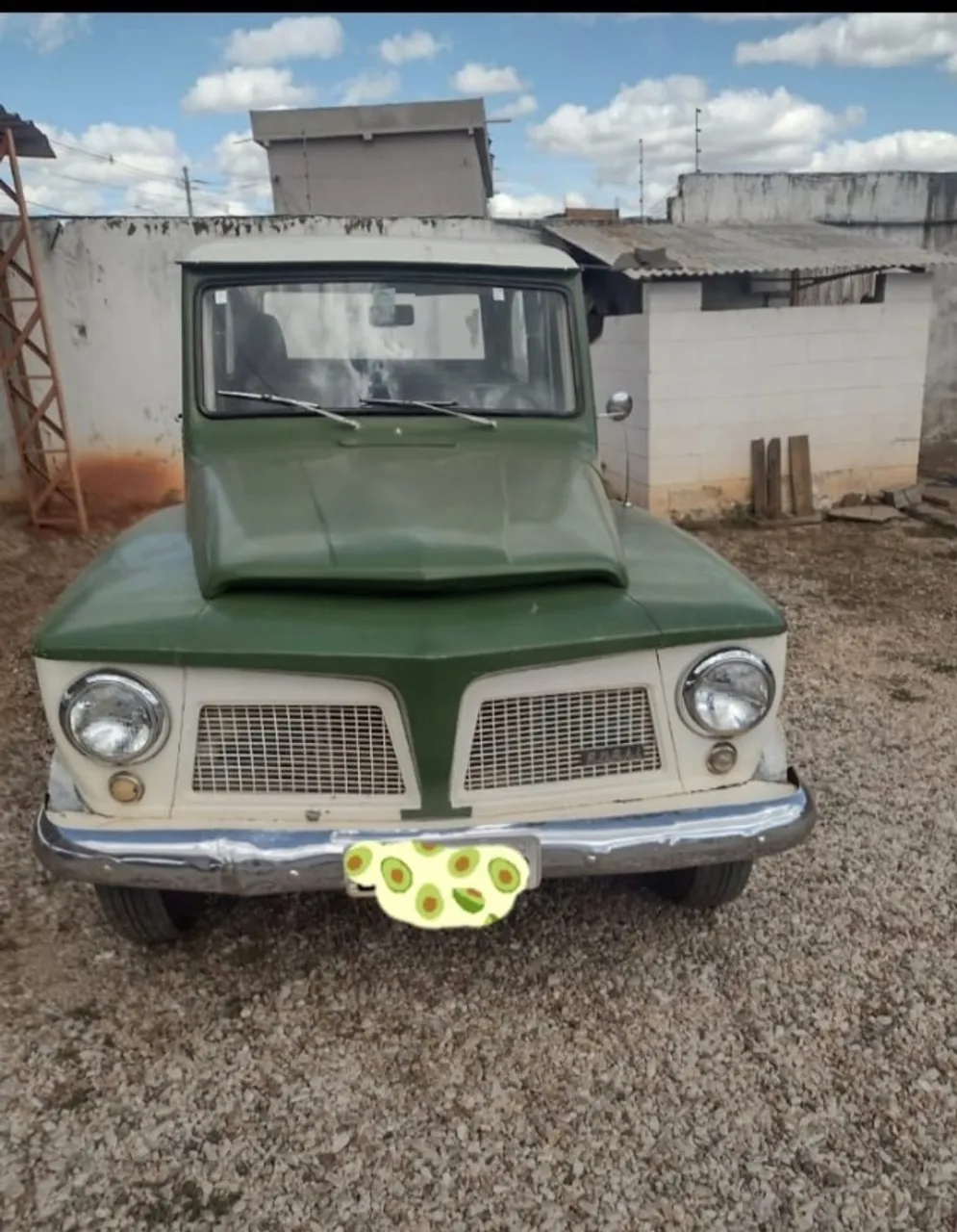 Ford Willys Usados e Novos