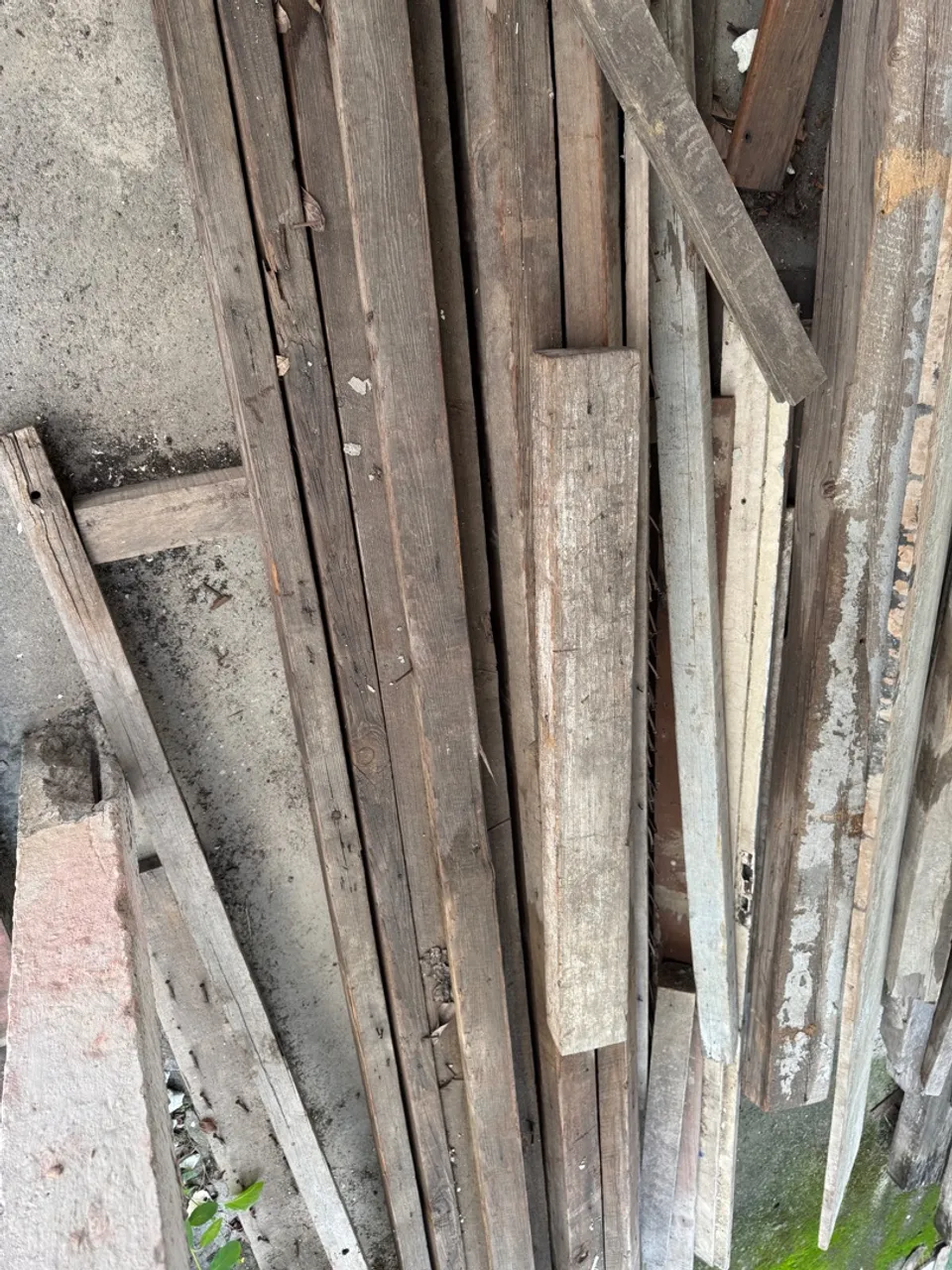 "pinho de riga madeira" no Brasil