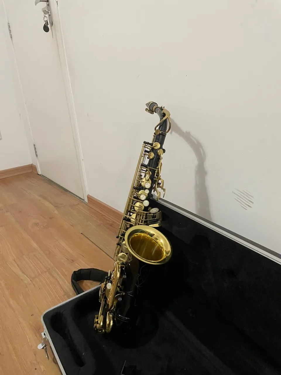 "saxofone alto" - Instrumentos musicais no Brasil