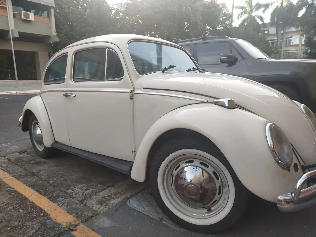 VOLKSWAGEN FUSCA 1969 Usados e Novos