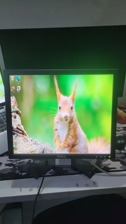 Monitor Dell - Tela LCD - Ótimo Estado modelo rev a01 17 polegadas ...