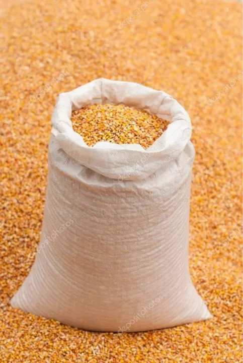 "milho 50kg" no Brasil