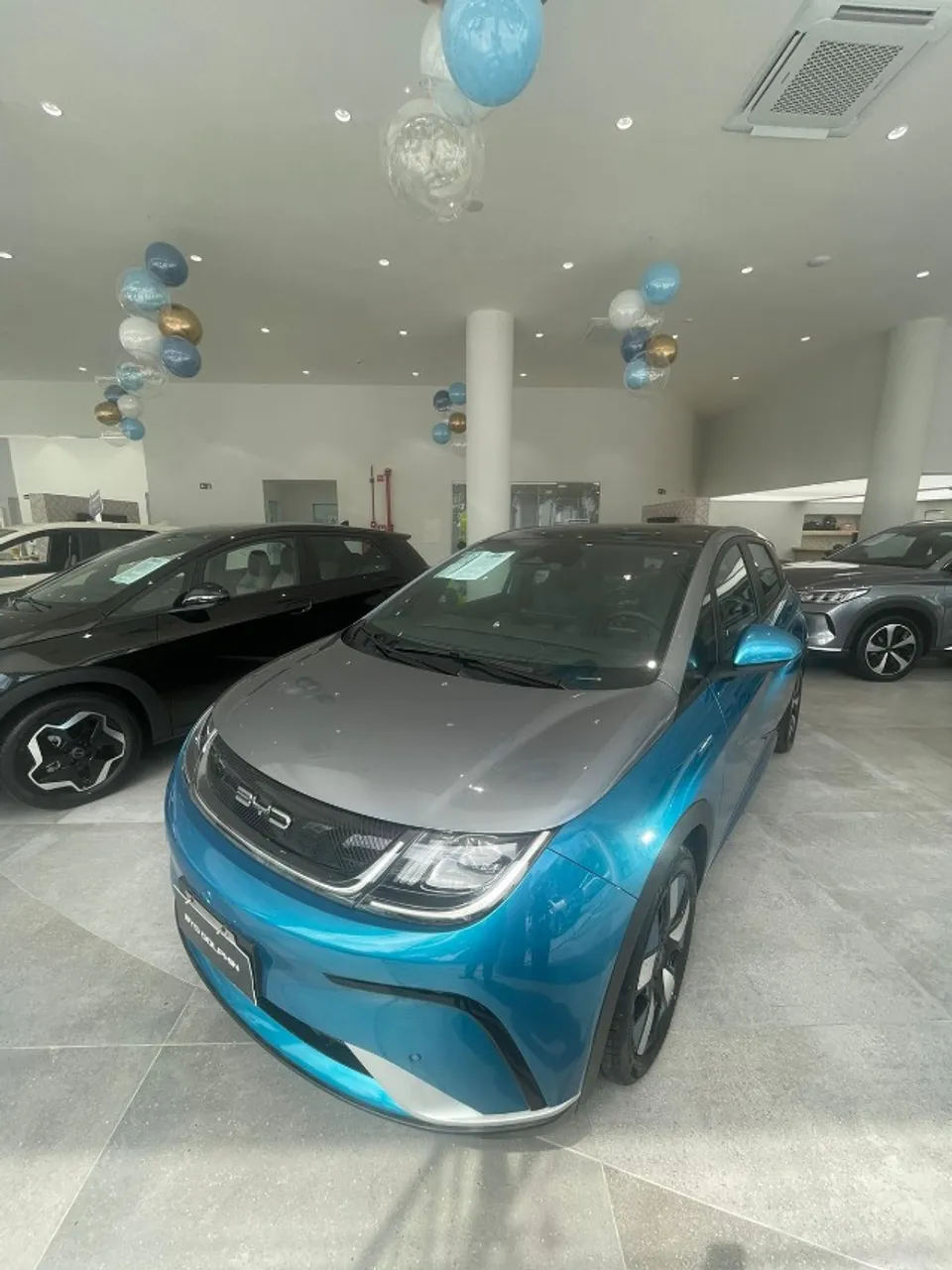 BYD DOLPHIN Usados e Novos