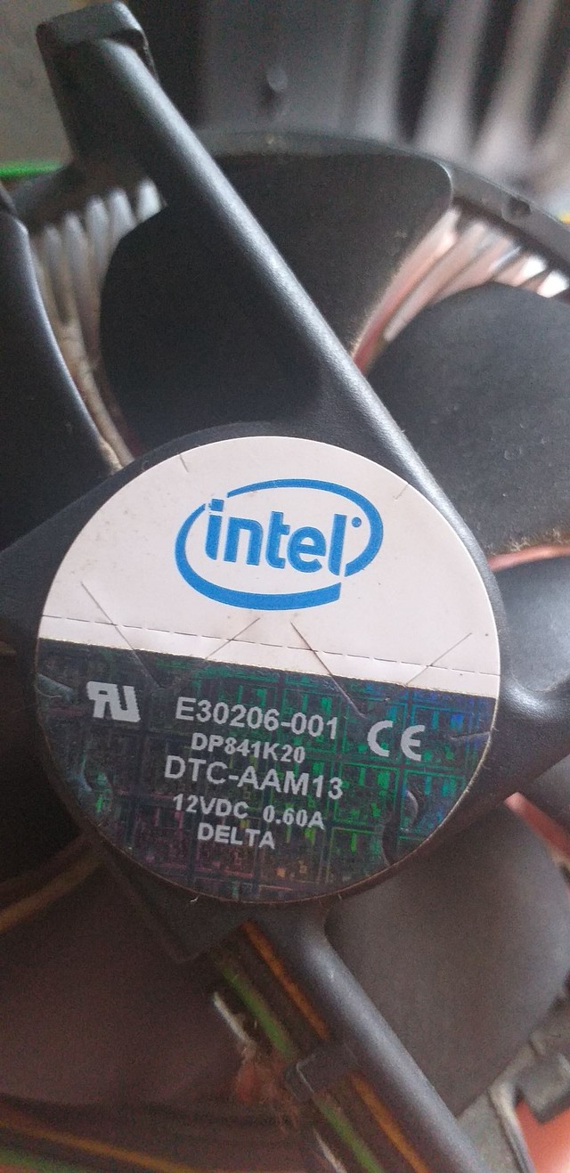 Borde coler | +11 anúncios na OLX Brasil