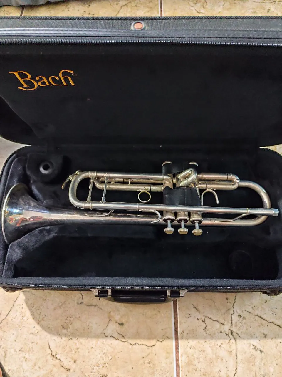 Anúncios - Madre de Deus, Grande Salvador - Bahia