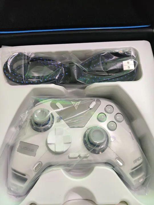 Controle Flydigi Apex 4 Elite + Dock carregadora Nova! - Peças e ...