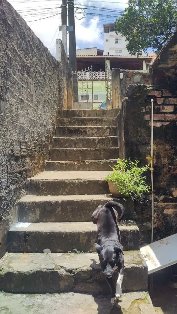Lote à venda em rua pública, SANTA MONICA, Salvador, BA - Terrenos ...