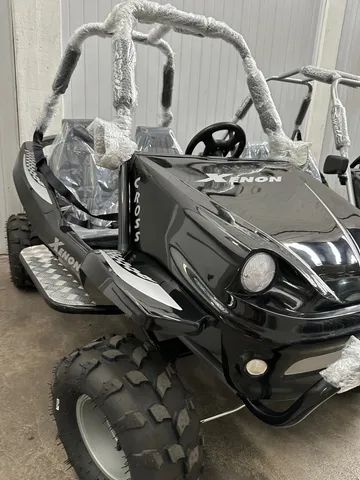 "mini buggy gaiola" no Brasil