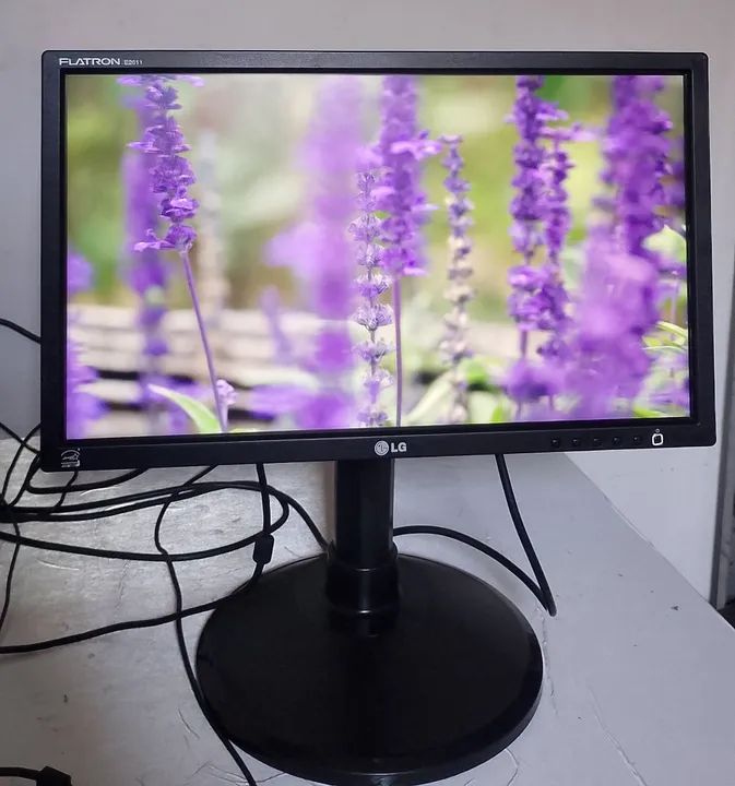 "monitor lg 20" no Brasil
