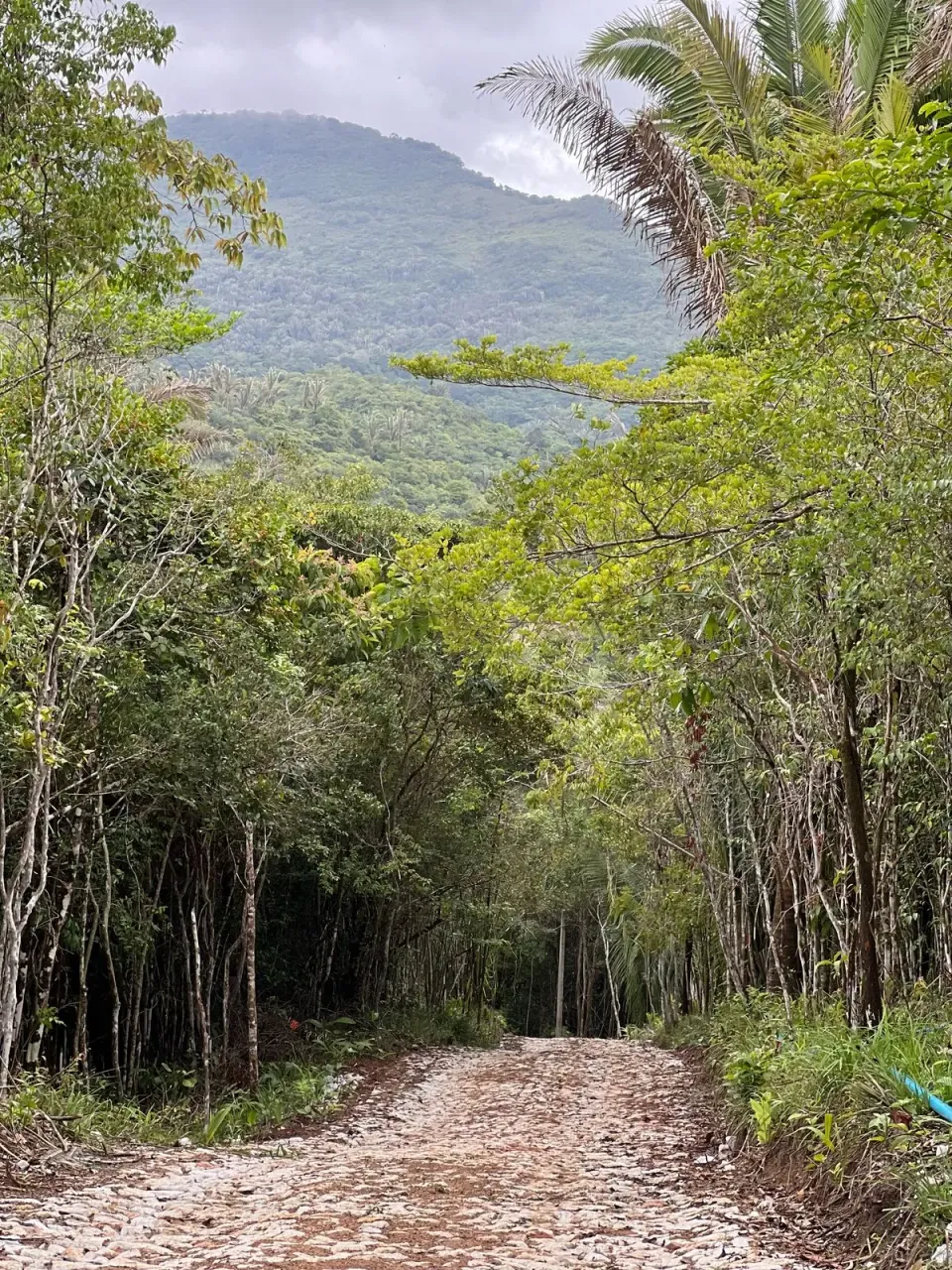 "sitio pacoti" no Brasil