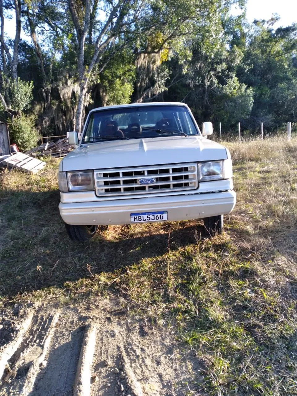 FORD F-1000 CD/BLAZER 3.6 Usados e Novos