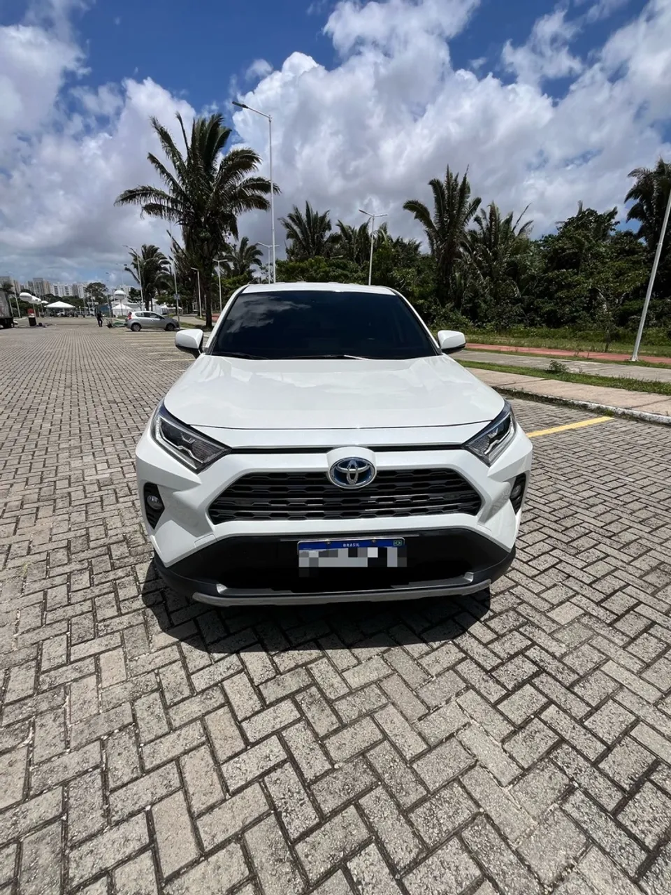 TOYOTA RAV4 2020 Usados e Novos