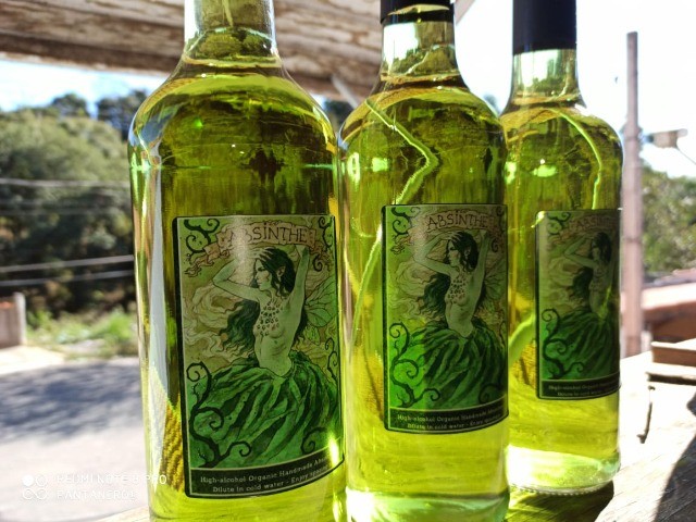 Absintos | +55 anúncios na OLX Brasil