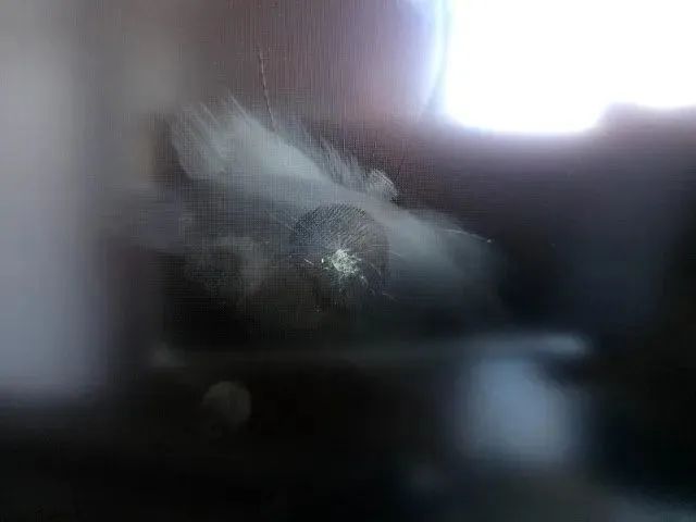 Monitor LG OLED 45 240hz Ultra wide Tela Curva WQHD 45gs95qe-b - (Tela ...