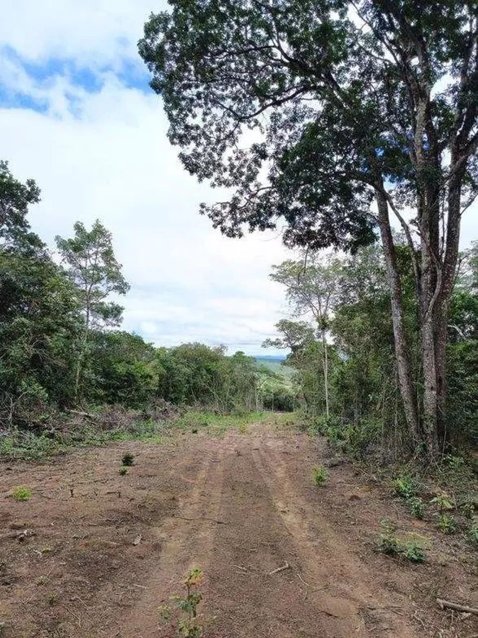 Lote à venda no CAPÃO , CAETÉ-AÇU, Palmeiras, BA - Terrenos, sítios e ...