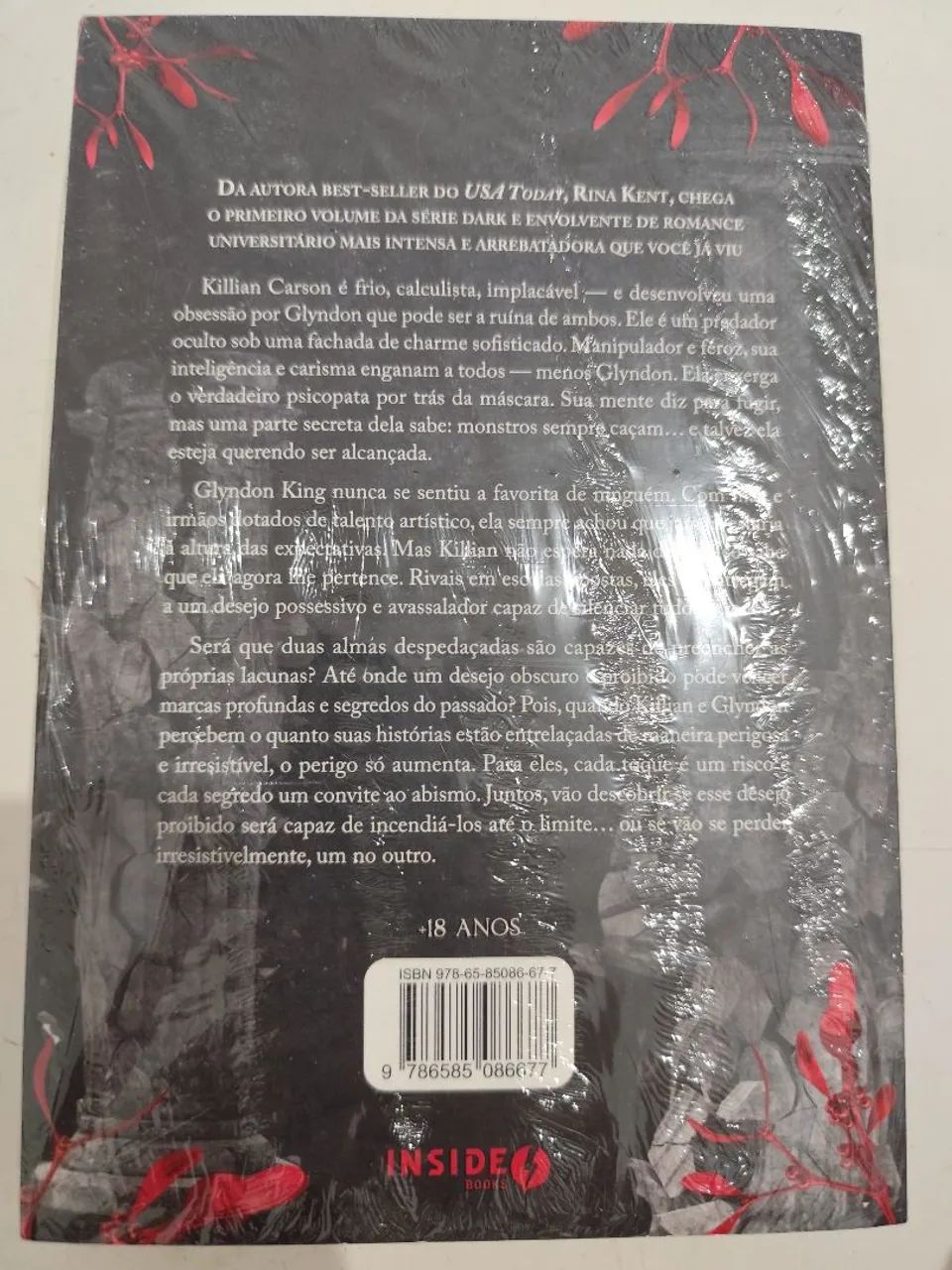 Livro "Deus da malícia", da escritora Rina Kent - Livros e revistas ...