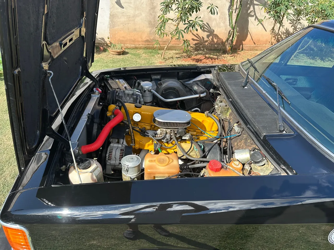 CHEVROLET OPALA 1986 Usados e Novos