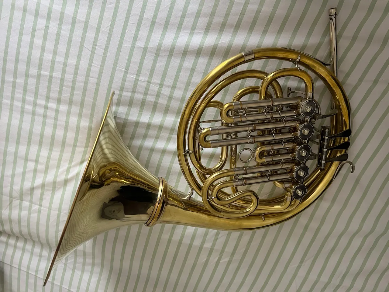 "instrumento trompa" no Brasil