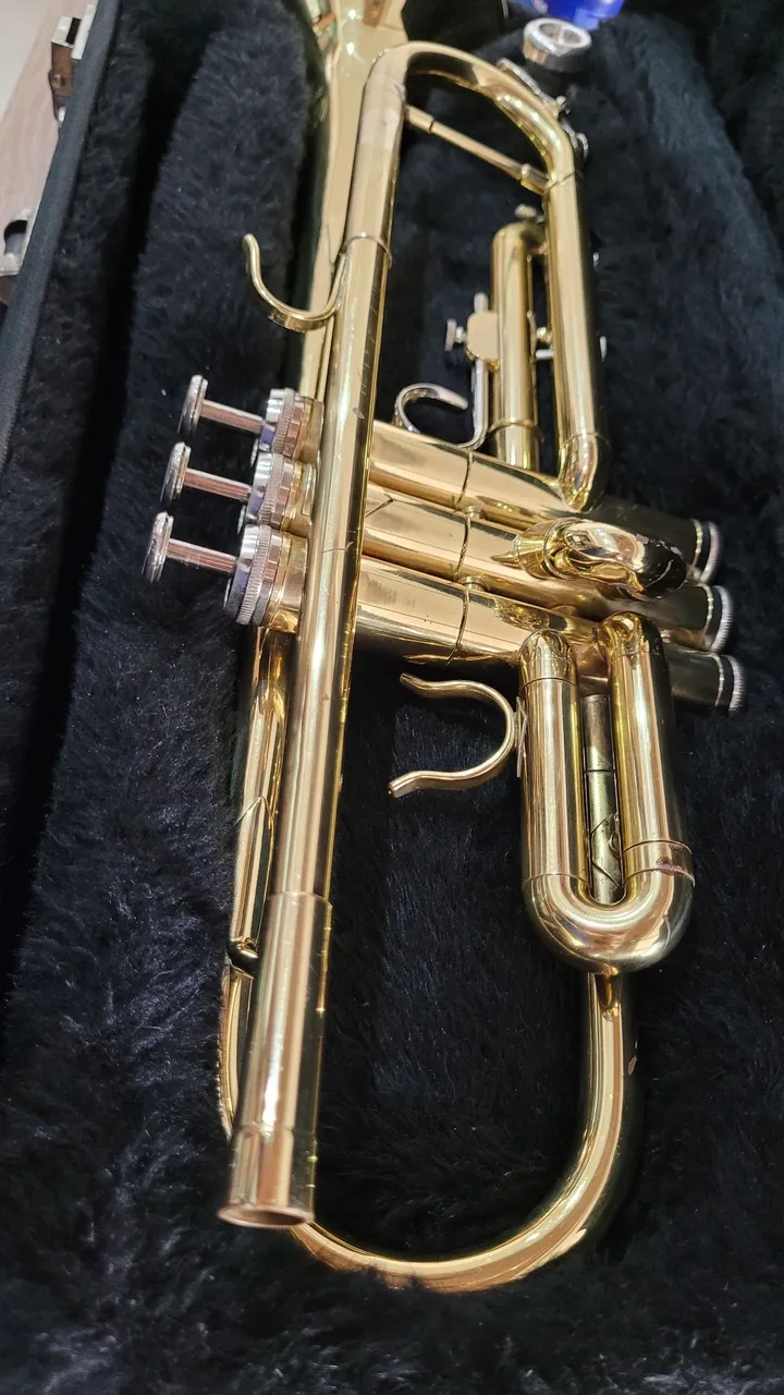 "trompete profissional" - Instrumentos musicais no Brasil