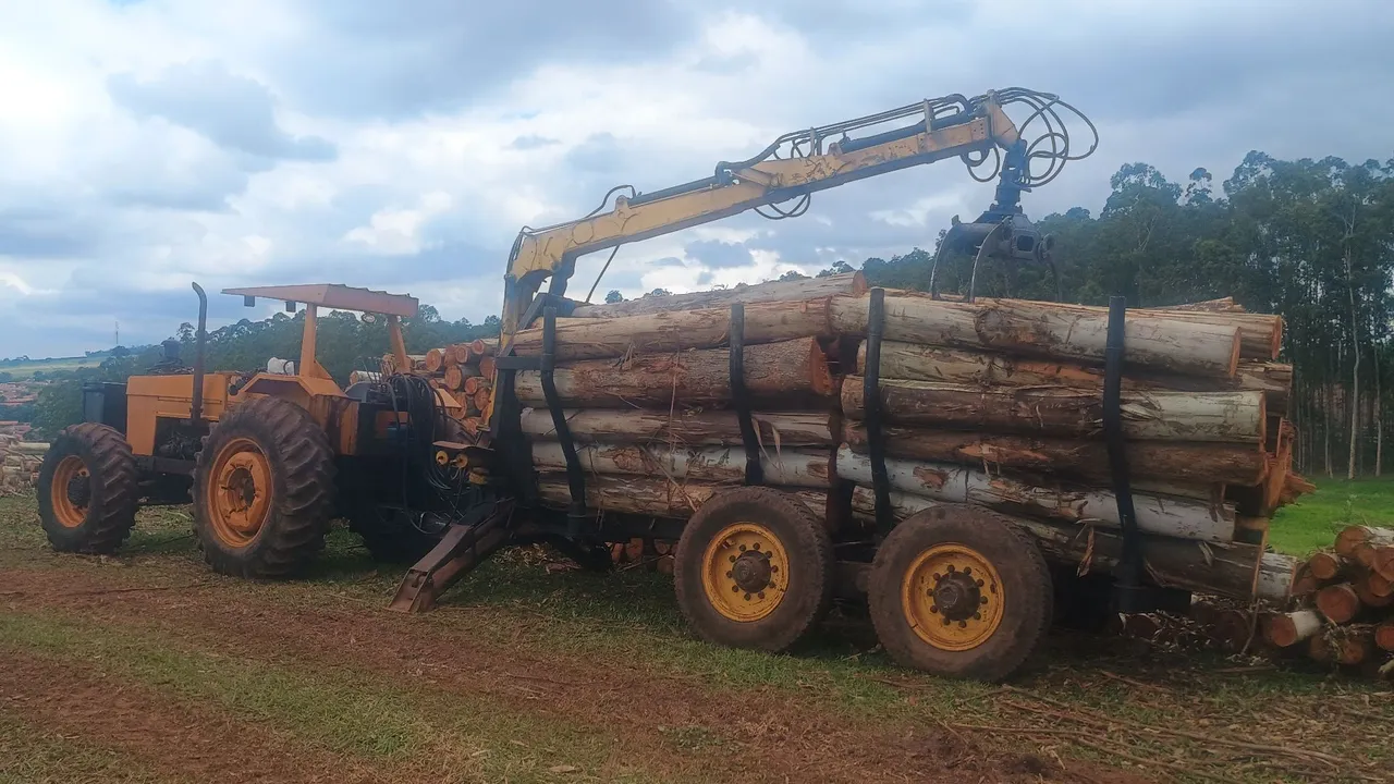 "trator florestal" - Tratores e máquinas agrícolas no Brasil