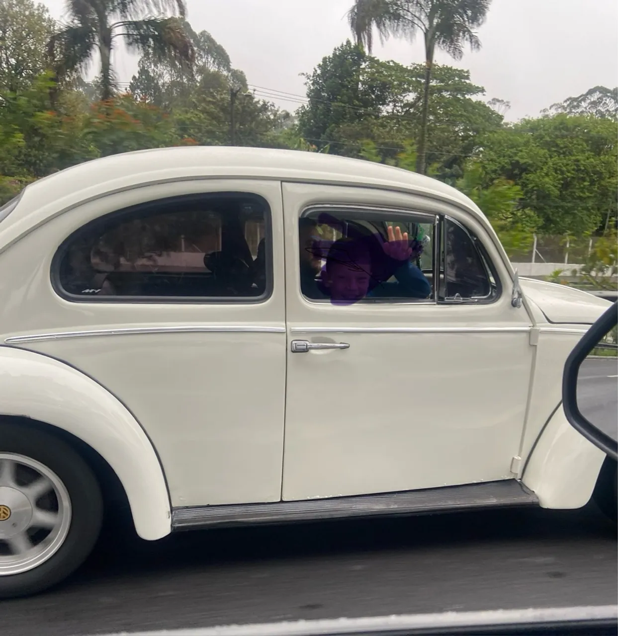 VOLKSWAGEN FUSCA 1967 Usados e Novos