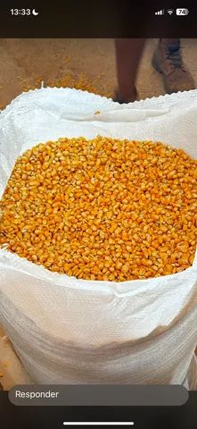 "saco de milho" no Brasil